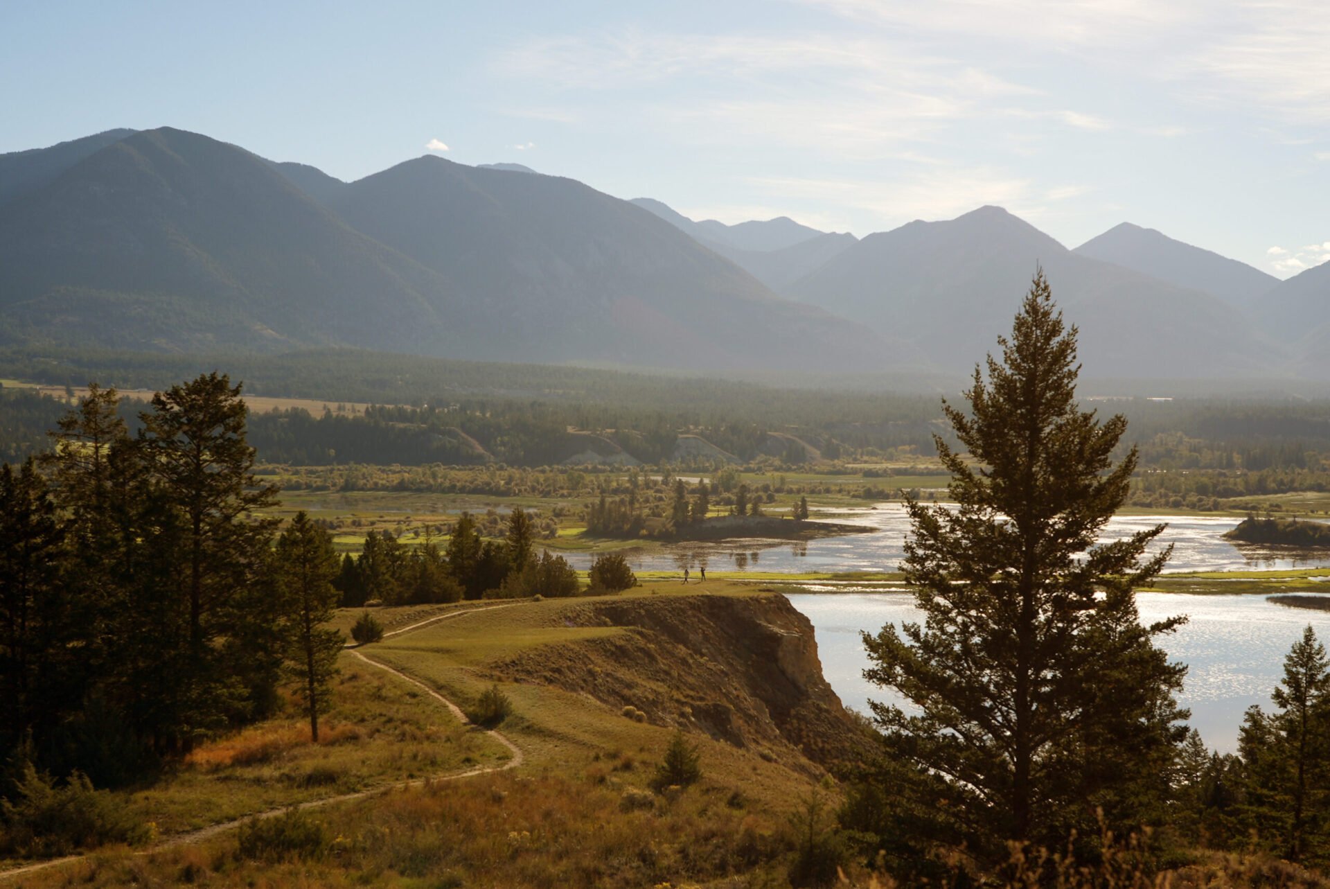 Columbia River Wetlands: Nature's Hidden Gem